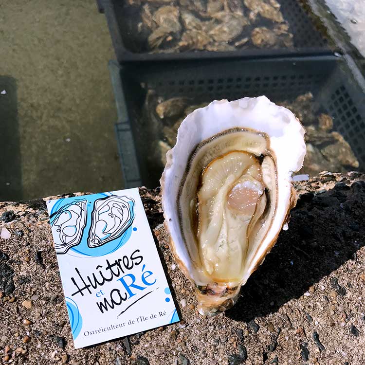 Huîtres de l'île de Ré | huîtres et ma Ré, producteur vente et expédition